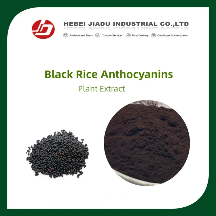 25% Anthocyanin Powder Anthocyanidins Plant Extract Black Rice Extract ...