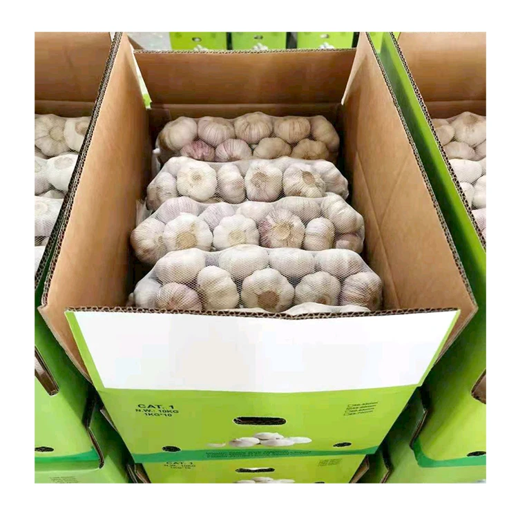 Top Grade 2023 Newest Crop Garlic Fresh Garlic In Mesh Bags High ...