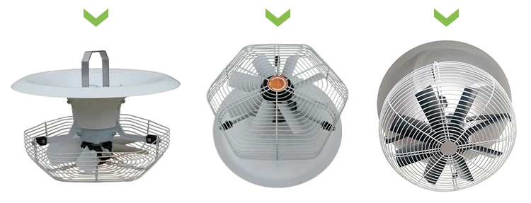 Hanging Vertical Airflow Fangreenhouse Circulation Fan For Greenhouse ...