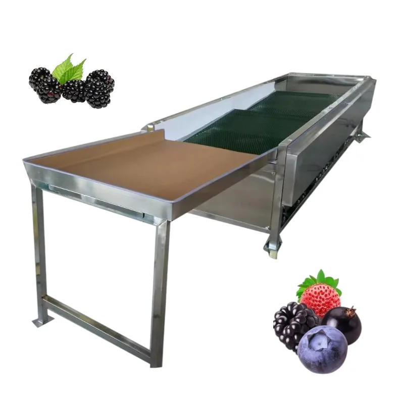 Hole Belt Blueberry Classifier Berry Grading Machines High-efficiency ...