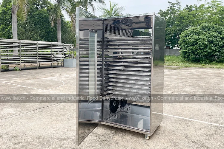 Ike Fish Drying Machine Commercial Fruit And Vegetable Dehydrator - Buy ...