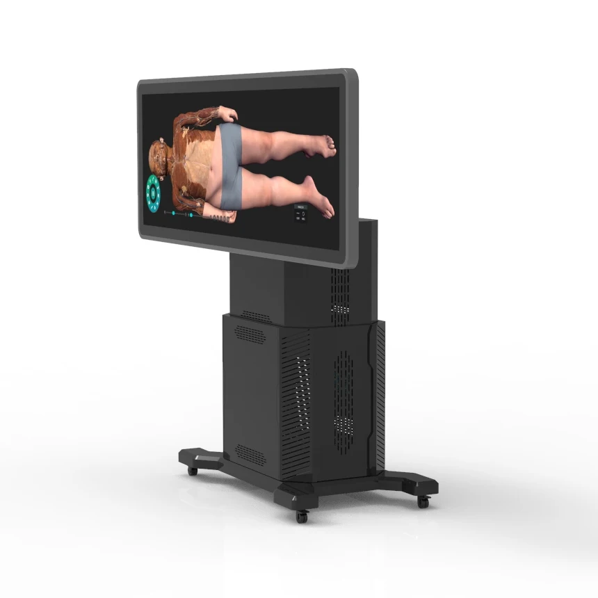 Virtuele Anatomie - Virtual Autopsy Table for Medical Education