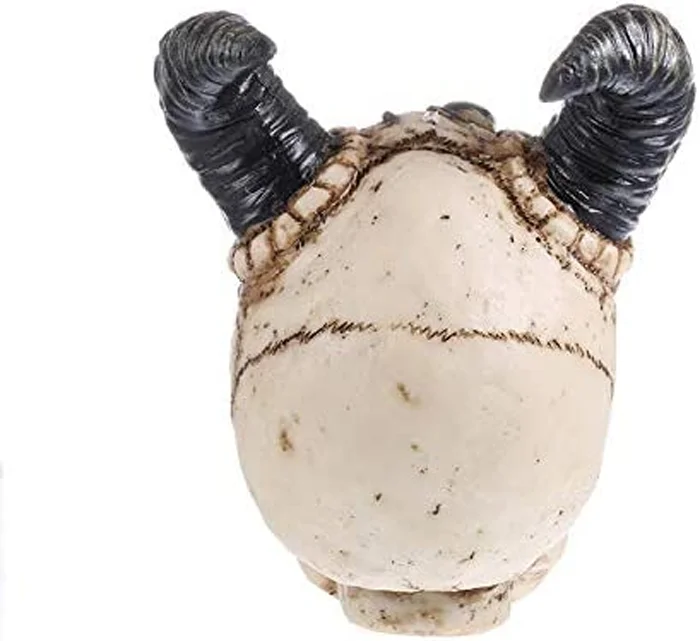 Realistic Human Skull Resin Statue Head Skeleton Ghost Whisper ...