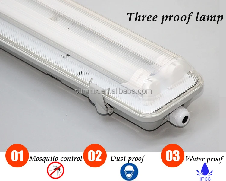 Special Lamp T8 2x18w 2x36w IP65 Triproof Led Batten Light