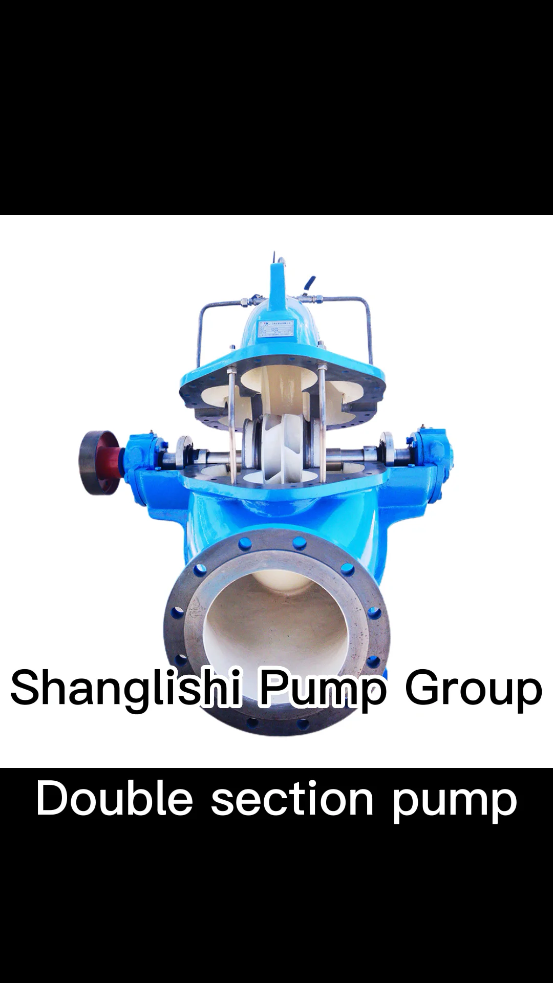 Horizontal Single Stage Double Suction Centrifugal Pump Cast Iron Split ...