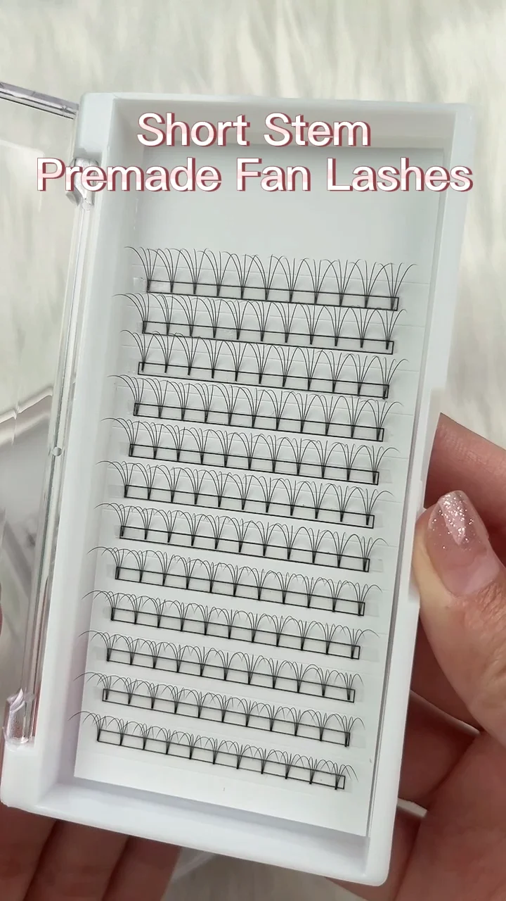 New Private Label 2d 3d 4d 5d 6d 7d 8d 10d Premade Fans Lashes Russian ...