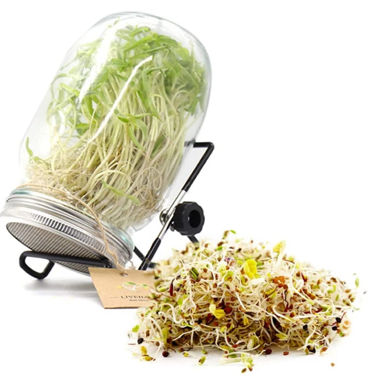 Best Seller Kitchen Gadgets 2 Pack Large Complete Wide Mouth Mason ...