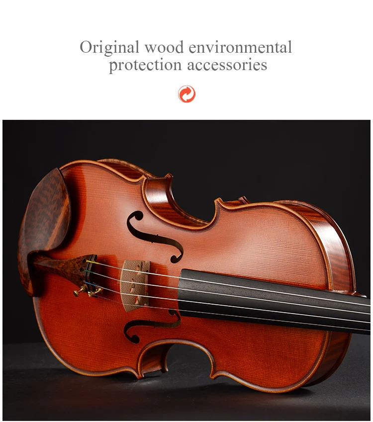 Christina S200a Best Brand Performing Violin Free Case String And Bow ...