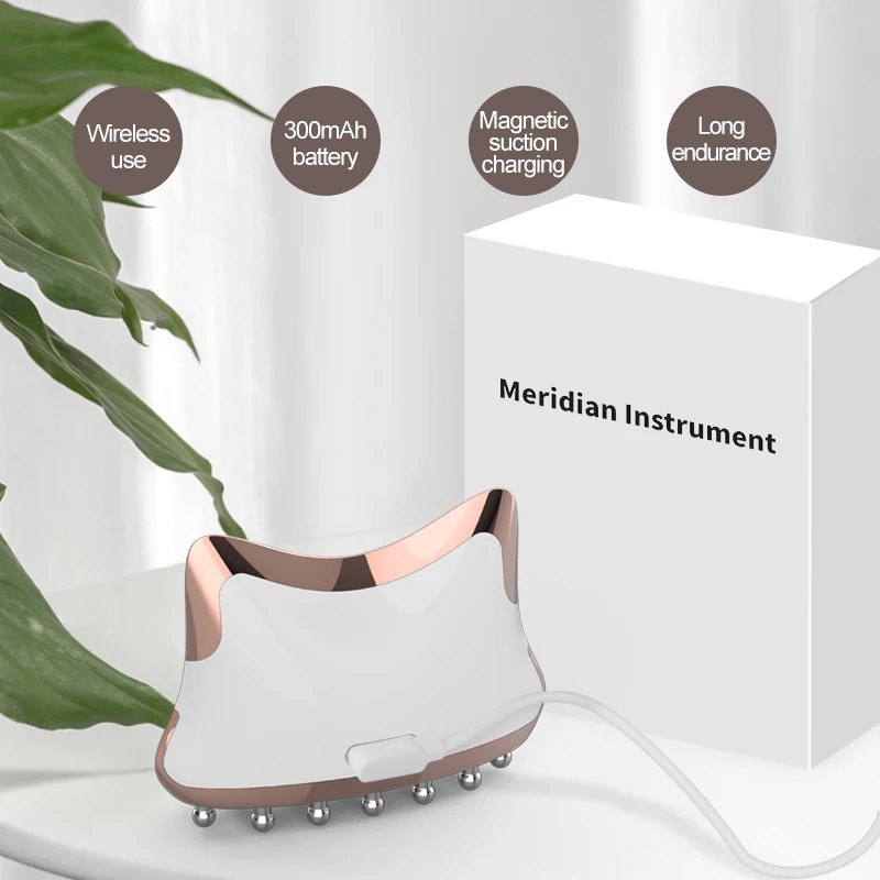 Custom Electric Ems Scraping Health Instrument Therapy Device Handheld ...