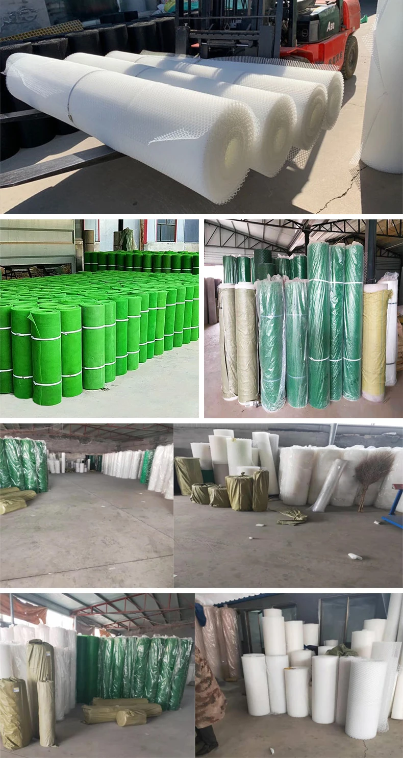 Livestock Chicken Net Broiler Egg Chicken Plastic Ground Net
