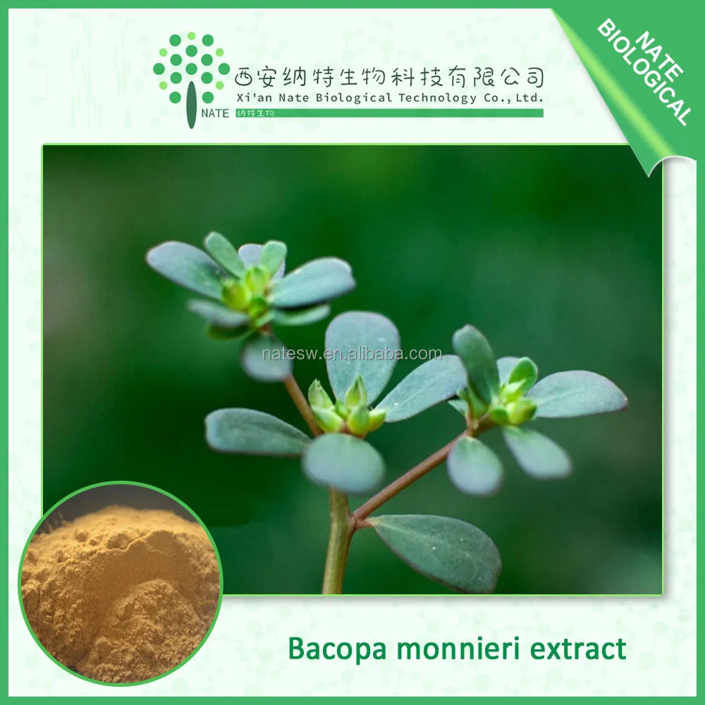 Herb Supplement Bacopa Monnieri Extract Powder Bacopa Bacosides 50% - Buy Bacopa Bacosides ...