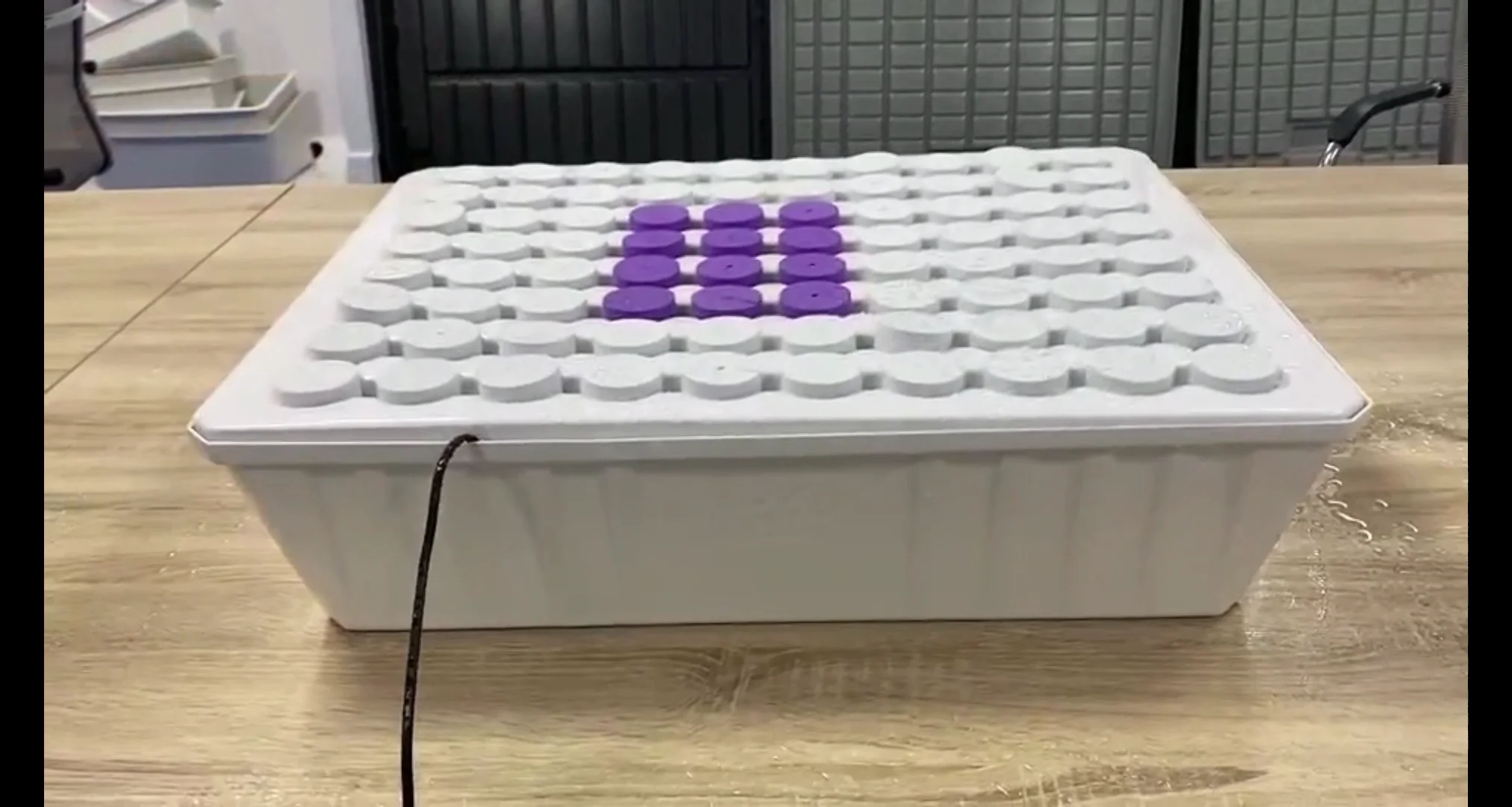 Hot Sale Aeroponic Hydroponic System Flood Tray 128 Holes Clone Tray ...