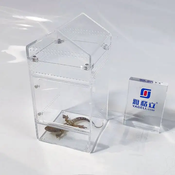 Custom Clear Spiders Feeding Terrarium Triangle Sliding Lid Acrylic ...