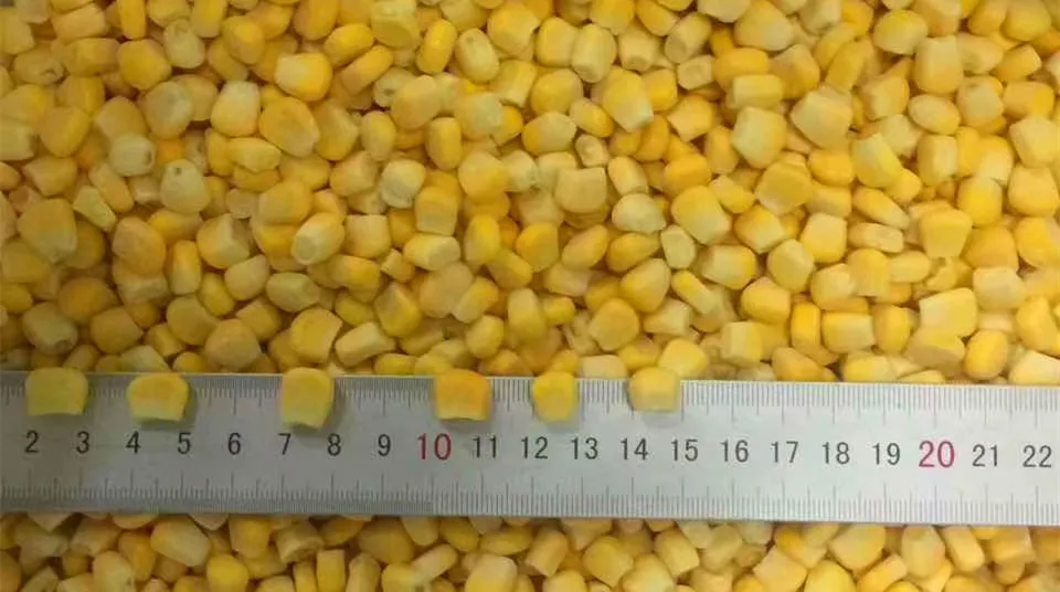 Human Consumption IQF Frozen Sweet Corn Kernels Supplier Manufacturers ...