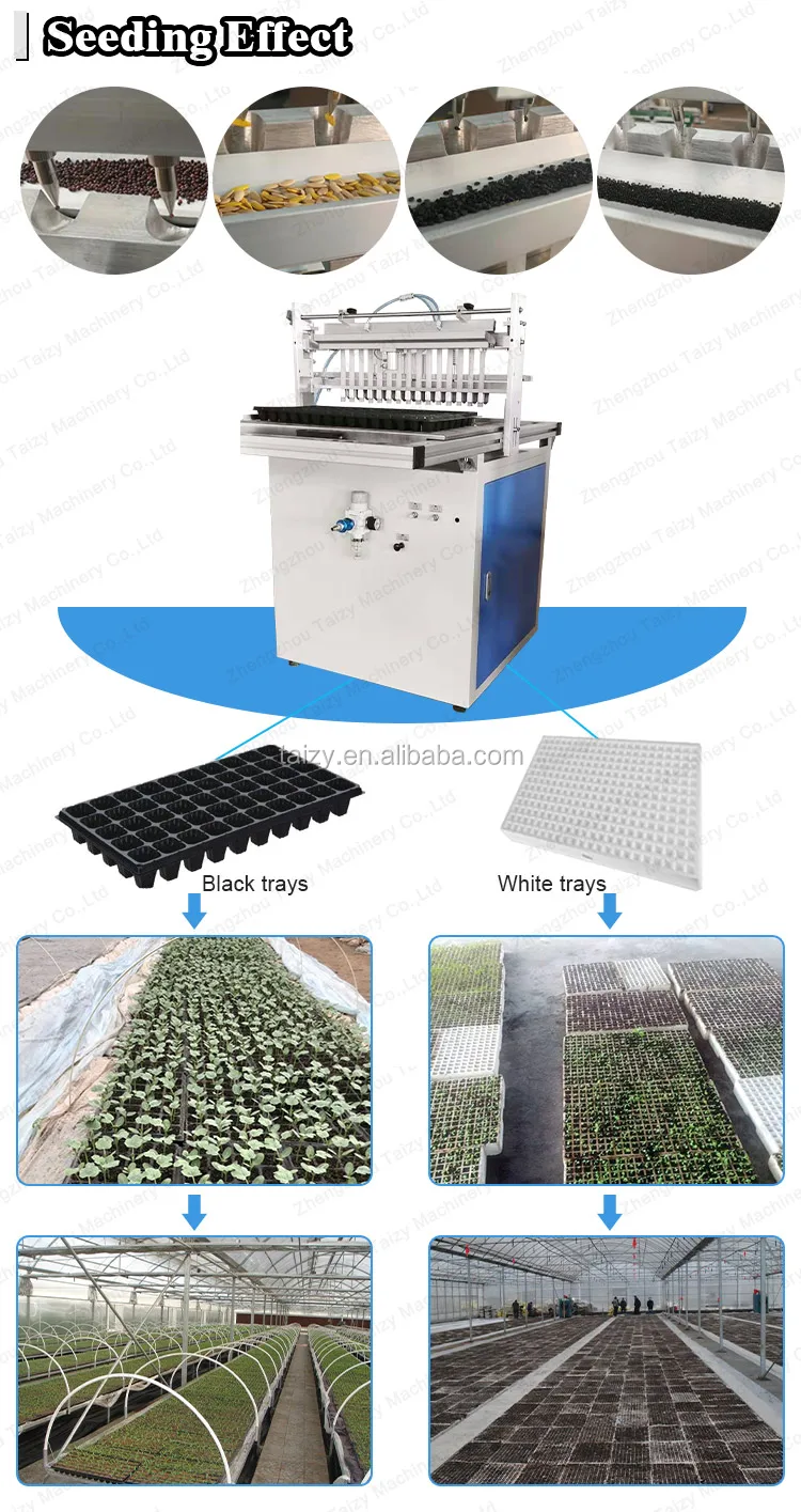 Automatic Seed Planting Machine - Efficient Nursery Seeding