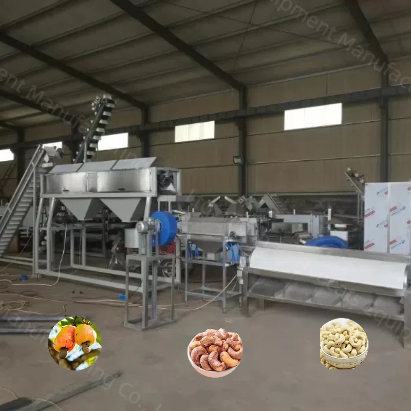 Cashew Nut Processing Line - Efficient & Durable Solutions