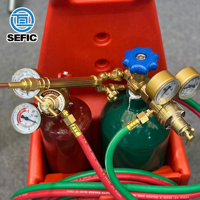 Professional Oxygen Acetylene Gas Welding And Cutting Kit With Welder ...