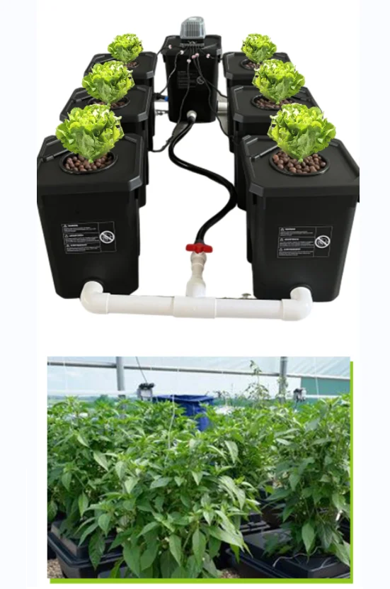 RDWC 6 Buckets 6 Gallon Cloner - Recirculating Hydroponics