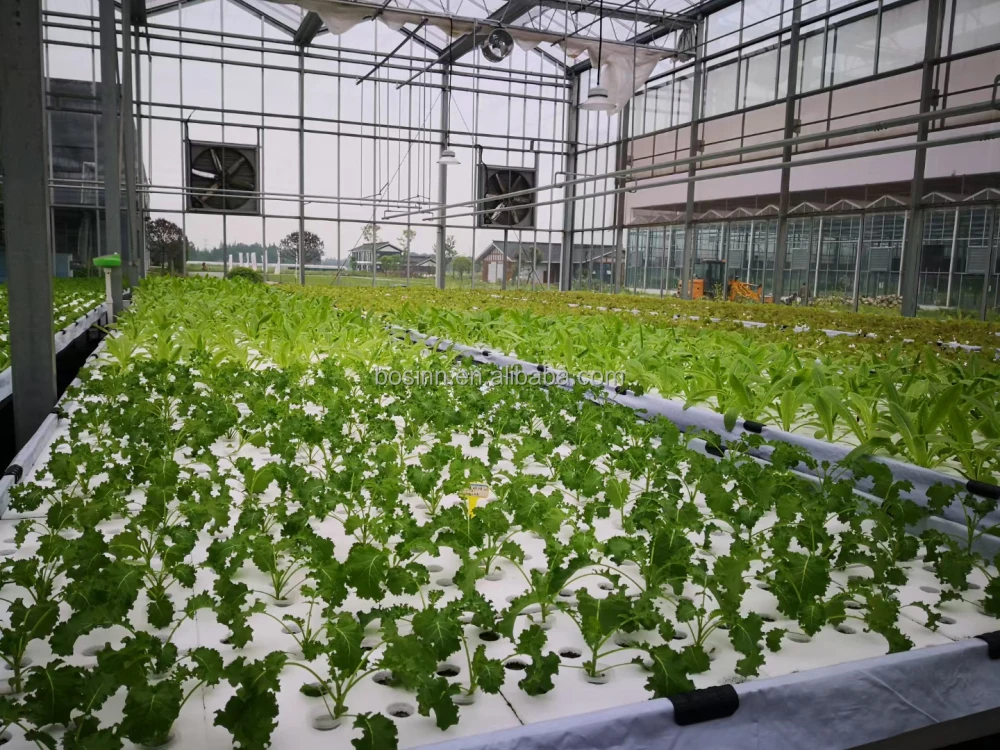 Ecosystem Vertical Hydroponic System with Grow Lights & Sensors ...