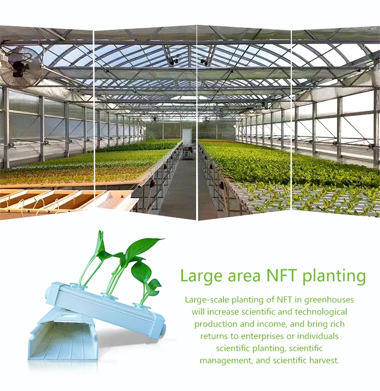 Lyine Hydroponic NFT System - Efficient Farming Solutions