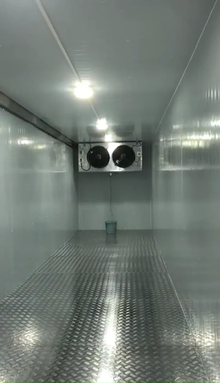 20ft Container Food Cold Storage Rooms Walk In Freezer Mobile Container ...