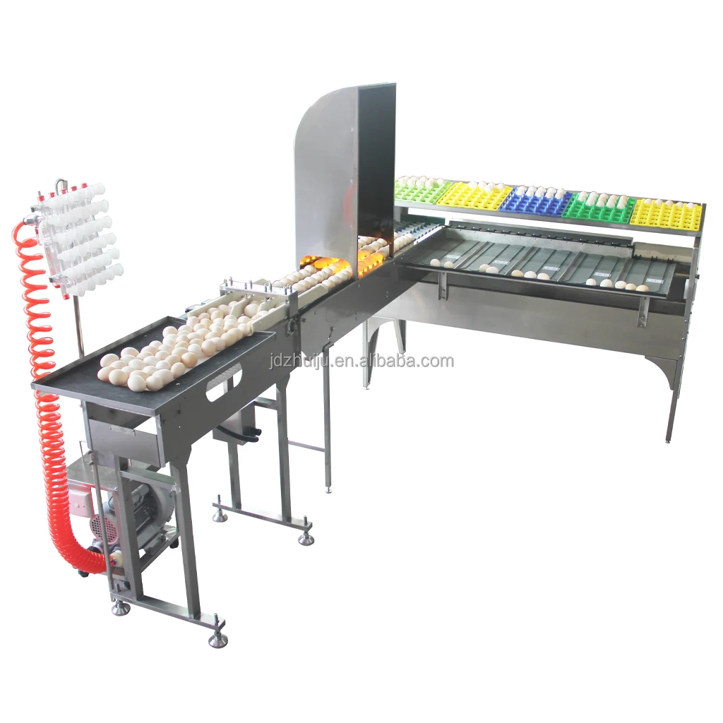 Automatic Egg Weight Grader/egg Classifier Machine with Vacuum Egg ...