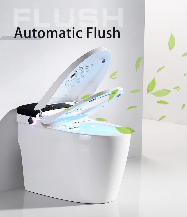 110v/220v Fully Automatic Luxury Modern Design Electronic Wc Toilet ...