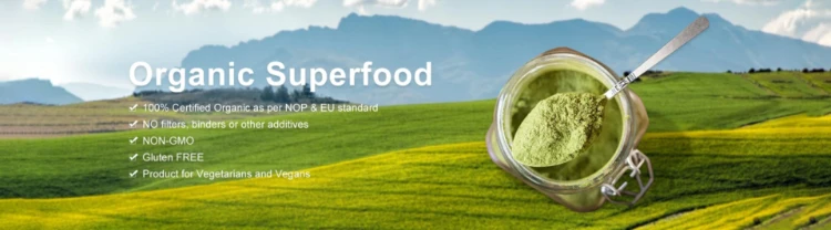 Fst Biotec Supply 10:1 Radix Isatidis Isatis Indigotica Fort Extract ...