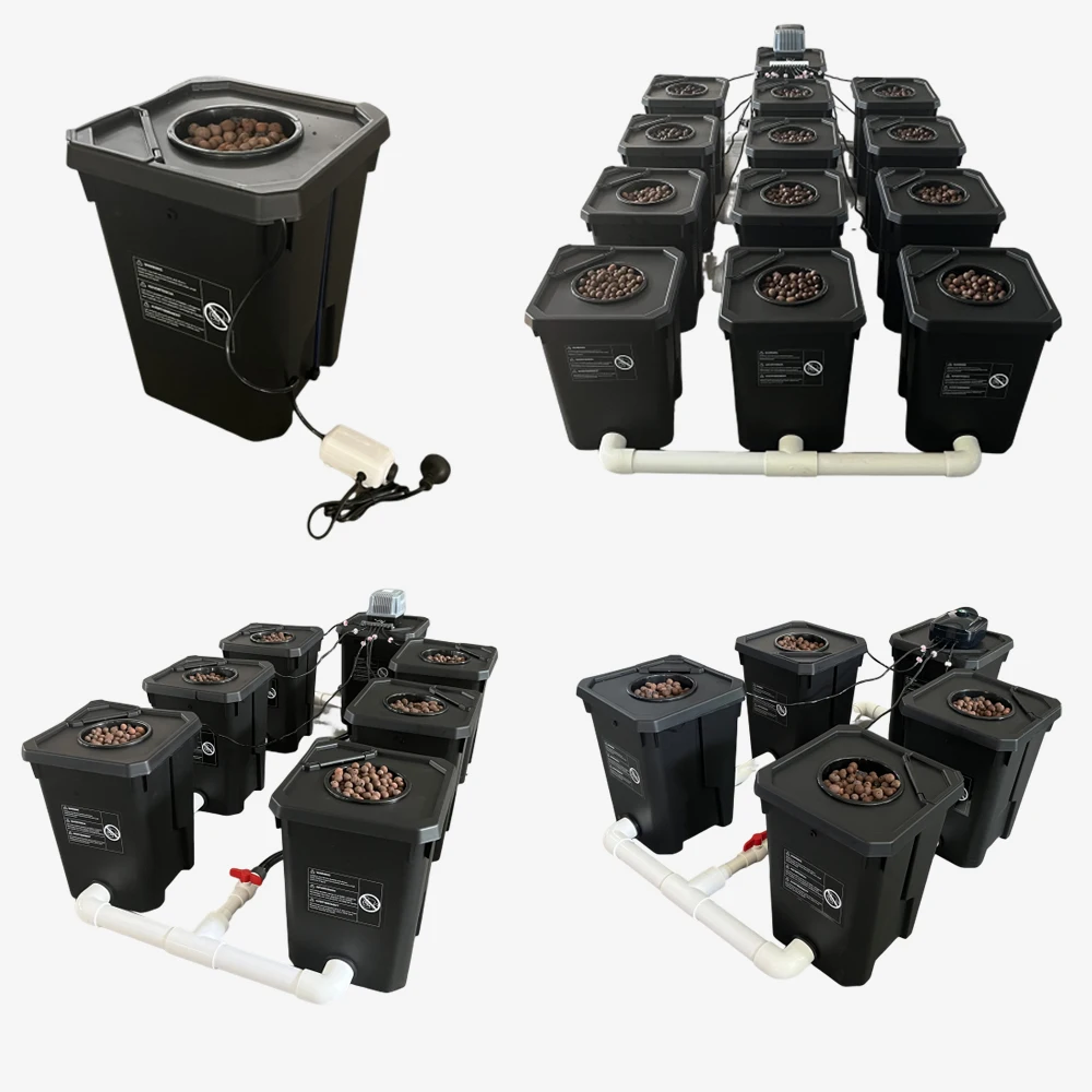 6gallon 12 Buckets Recirculating Hydroponic System Rdwc Hydroponic ...