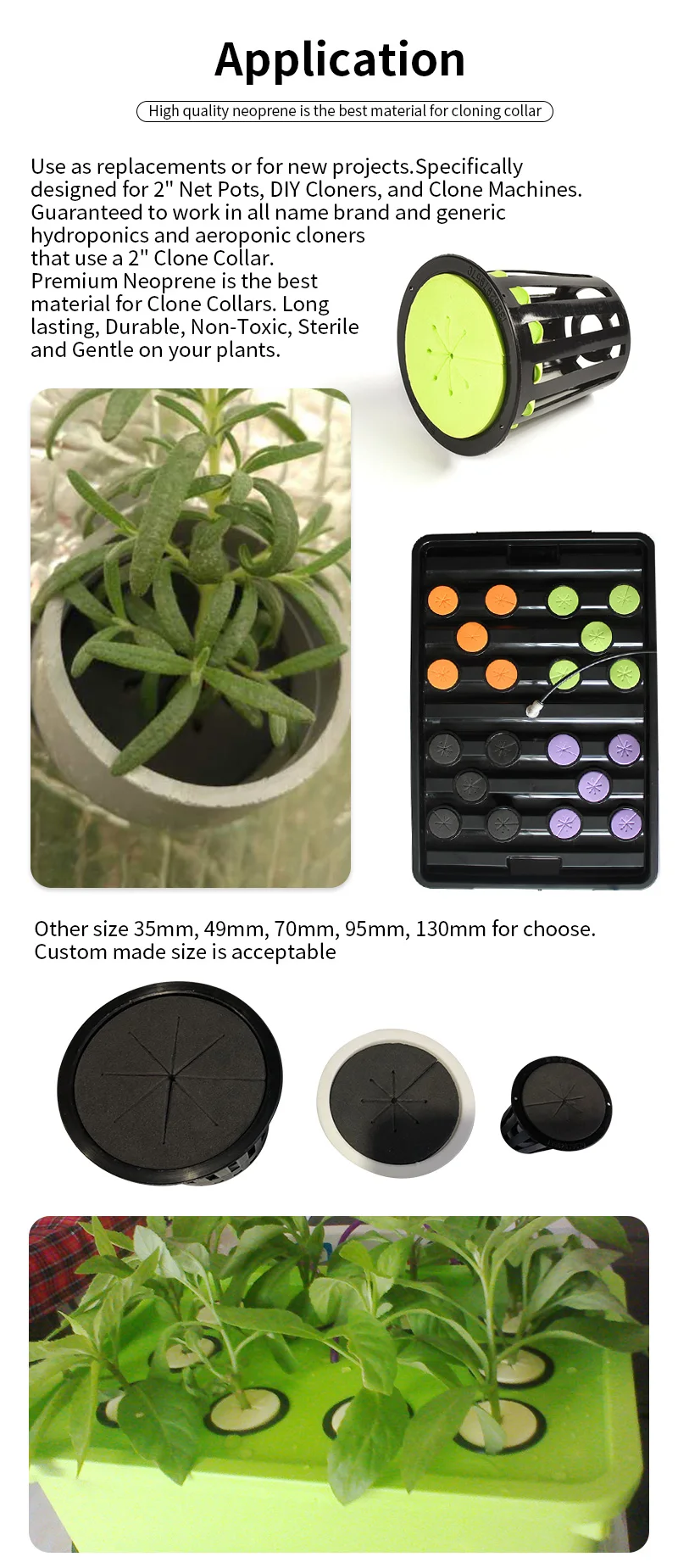 Clone Collar Hydroponic Cloning Systems - Multi Color Pucks