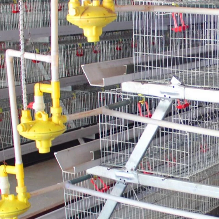 Automatic Pullet Baby Chicken Battery Brooder Cage For Day Old Layer ...