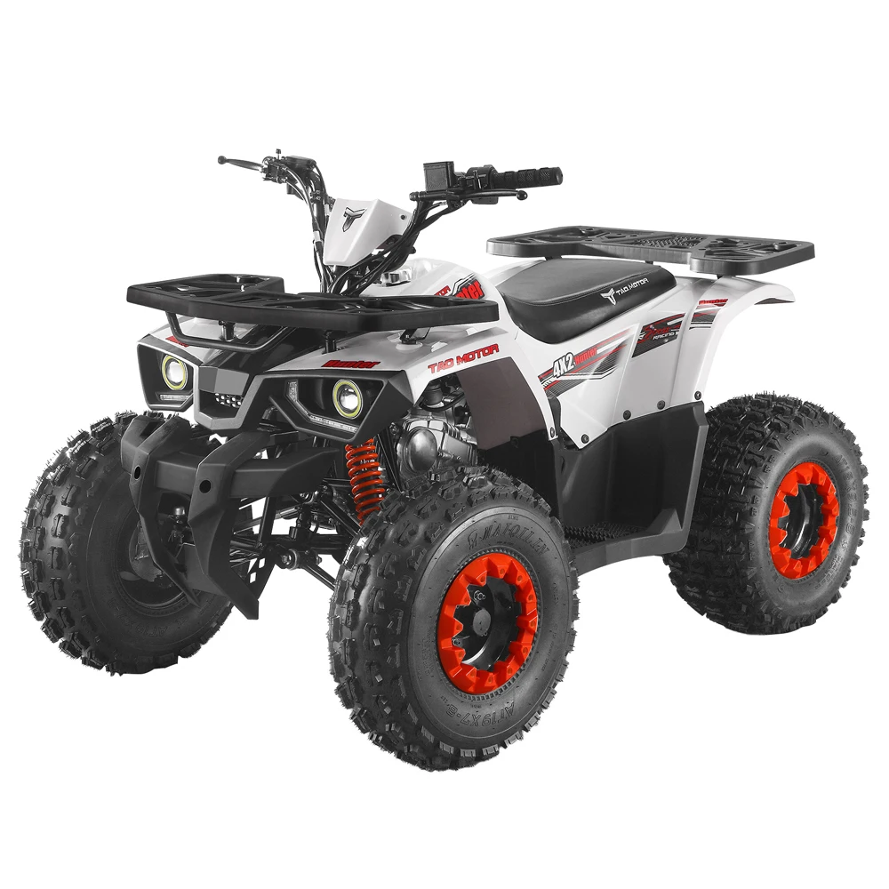 Tao Motor 2024 250cc ATV - Electric Start, Automatic Transmission, CE ...