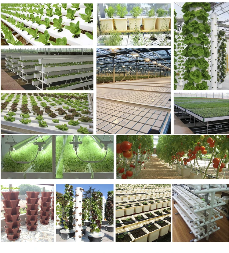 Vertical Hydroponic Grow Rack Flood Table Ebb Flow Rolling Benches ...