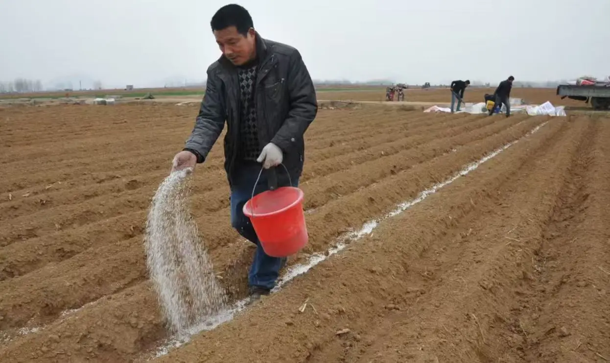 Hydroponic Growing Water Retention Agent for Soil-Free Plants ...