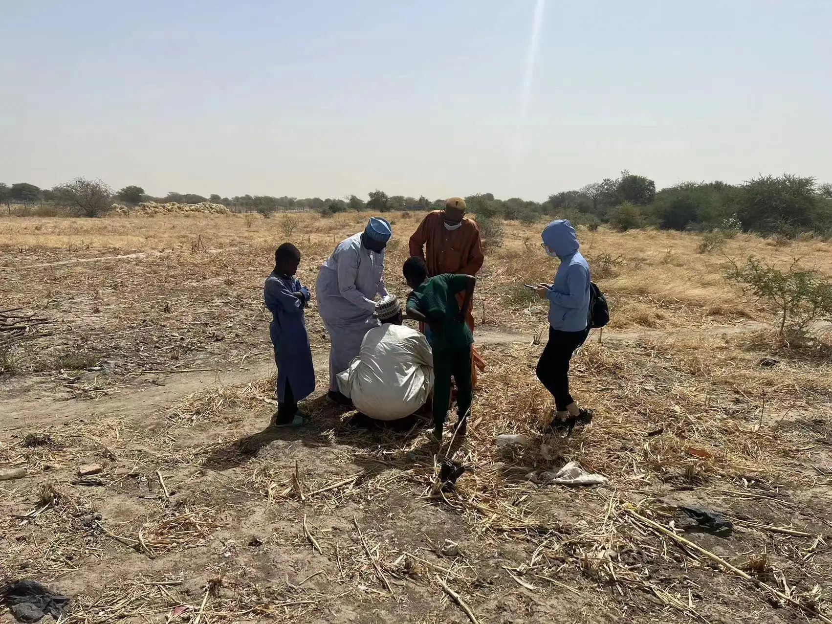 LIKOU 4 Inches Impeller DC Solar Powered Water Pump for Agricultural ...