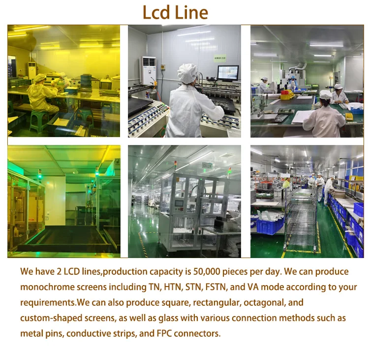 Custom 7 Segment LCD Display for Motorcycle Speedometer Segment LCD ...