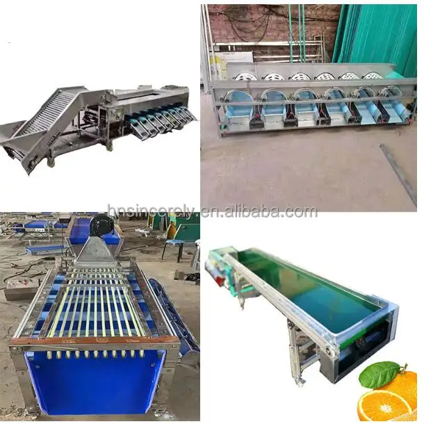 Stainless Steel Tomato Garlic Onion Sorting Machine Potato Grading Size ...