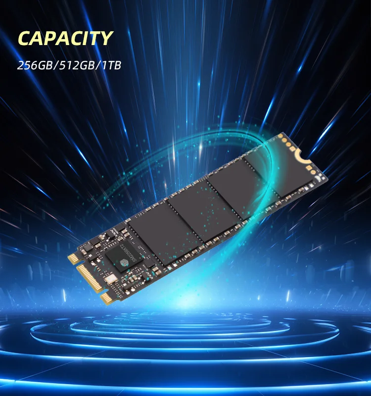 PCIe Gen3*4 M.2 2230 SSD 256GB 512GB 1TB Capacities Form Factor M.2 ...