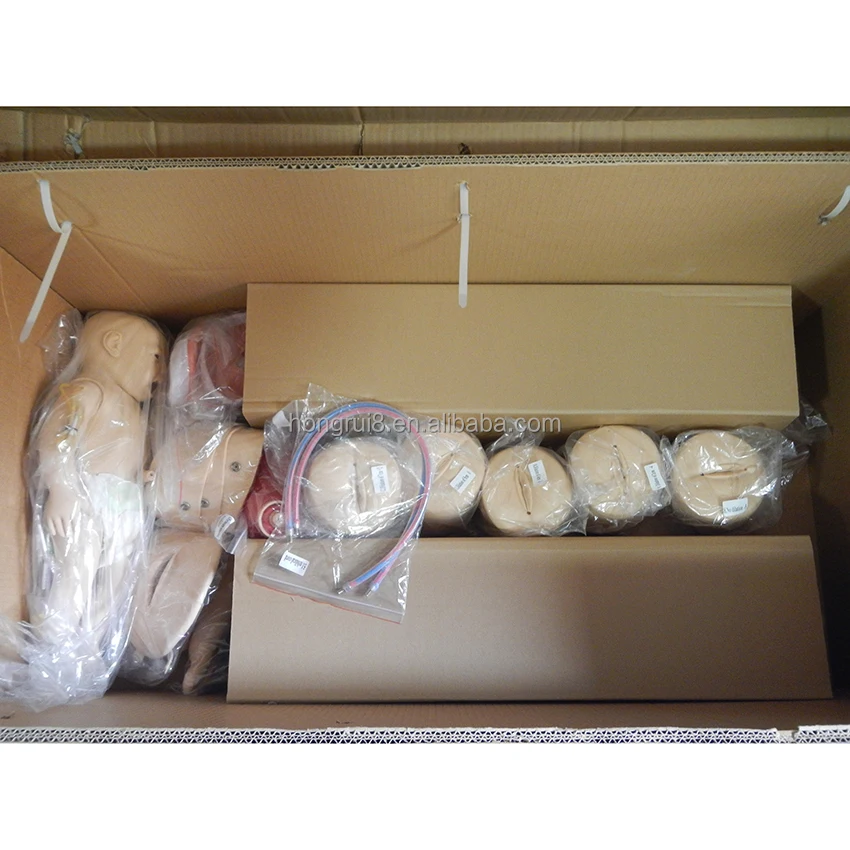 Maternal & Neonatal Delivery Emergency Simulator, Gynecological ...