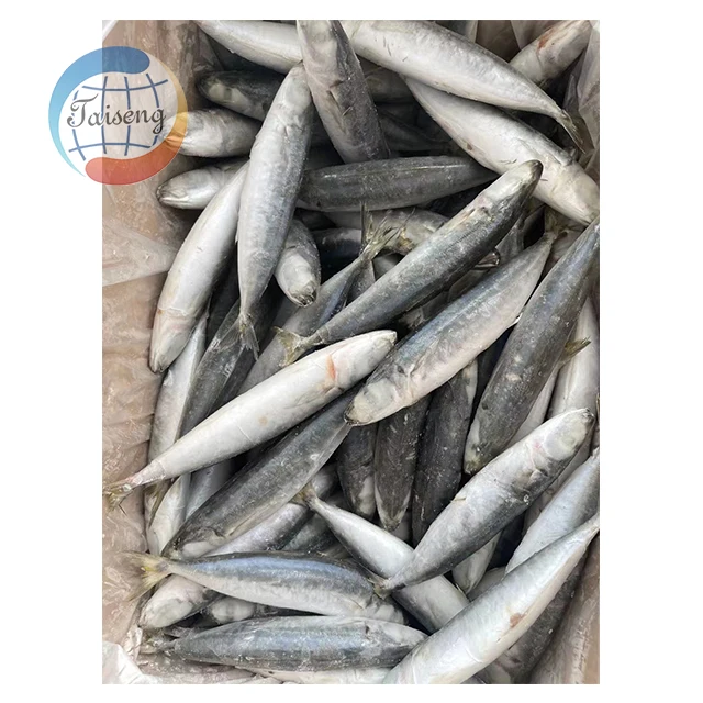 New Frozen Layang Galunggong Muraoji Fish| Alibaba.com