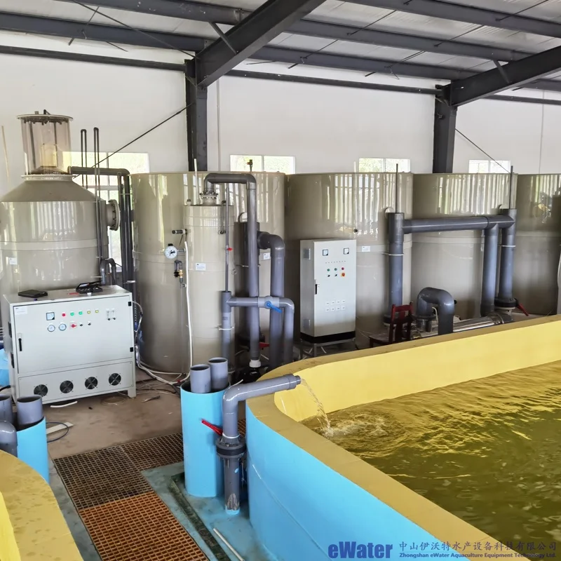 Ras Shrimp Farming Equipment - Efficient Aquaculture Systems
