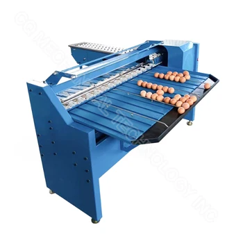 Professional Chicken Grader Egg Sorting Grading Machine Made In China ...
