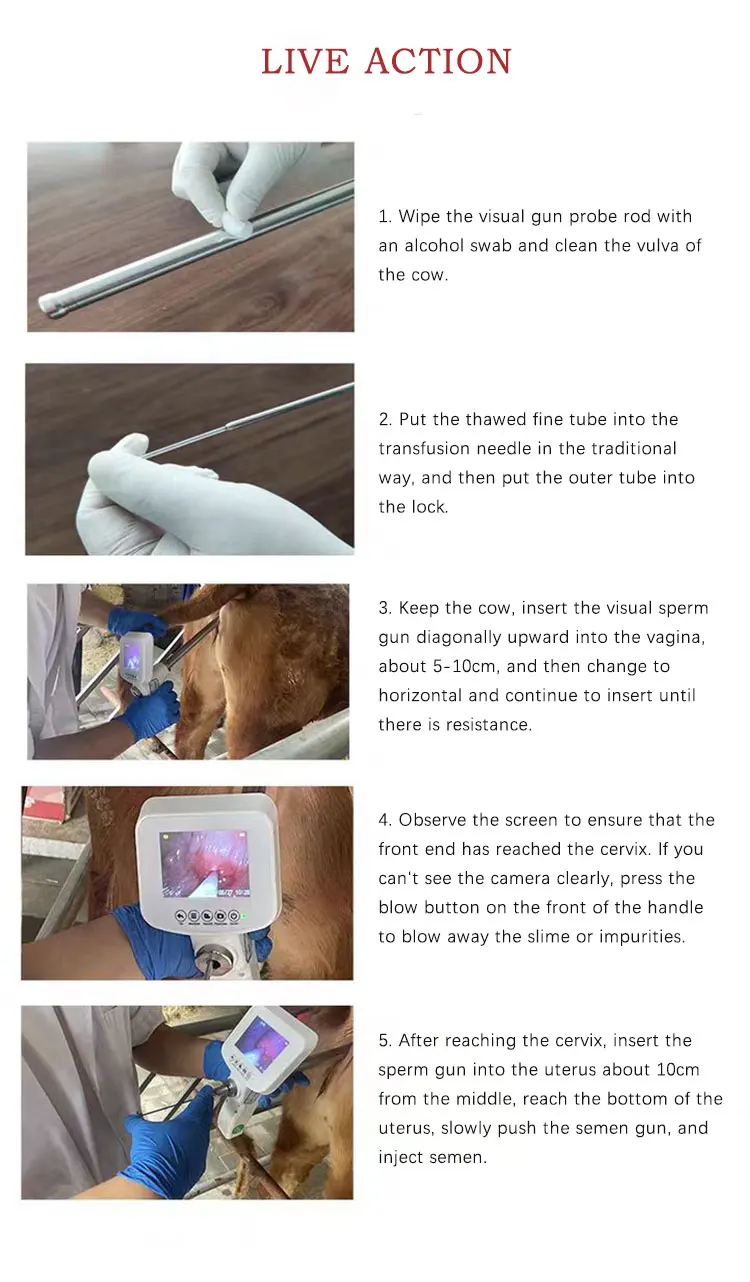 Cattle Manual Visual Handheld Sperm Transfusion Gun 3.5-inch Screen ...