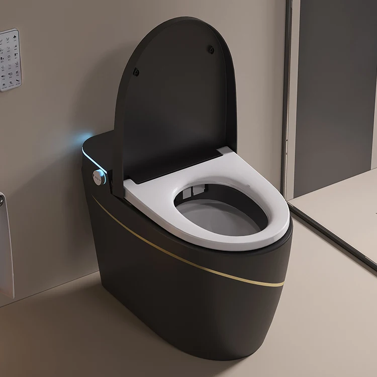 Smart WC Toilets - Intelligent, Comfortable, and Durable