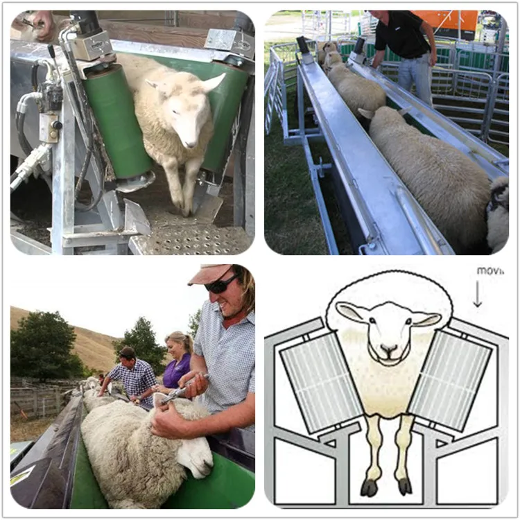 V Type Halal Ritual Killing Box - High Productivity Sheep Slaughterhouse
