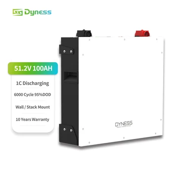 Dyness Dl5.0c Stackable Wall Mounted 200ah 300ah 400ah Home Energy Storage Battery 51.2v 100ah ...
