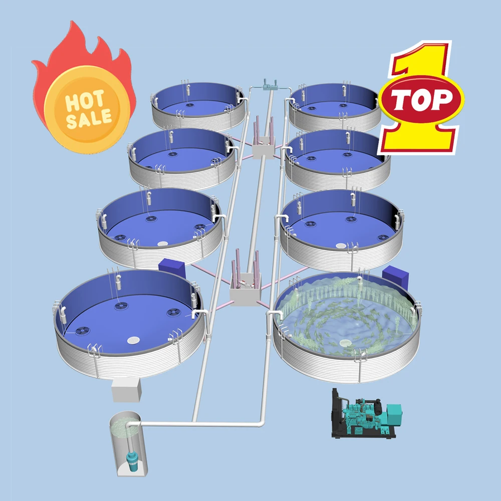 High-density Industrial Fish Farm Recirculating Aquaculture System Fish ...