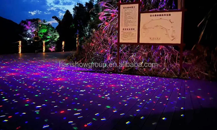 Dynamic Starry Night Firefly Projection 20W for Light Show Decoration ...