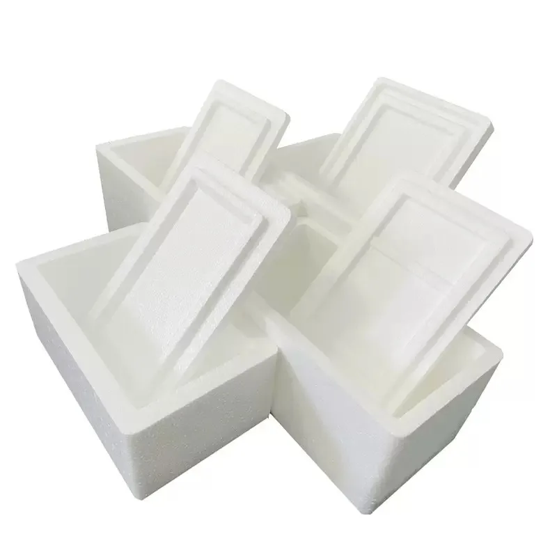 Custom Styrofoam EPS Foam Packaging for Cold Food Transport