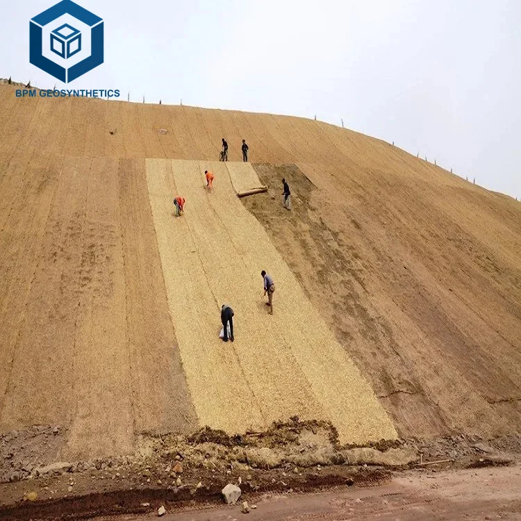 Biodegradable Geotextile Coconut Coir Fabric - Slope Stabilization